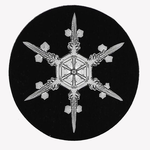 Scrapbook – EDDIE BORGO